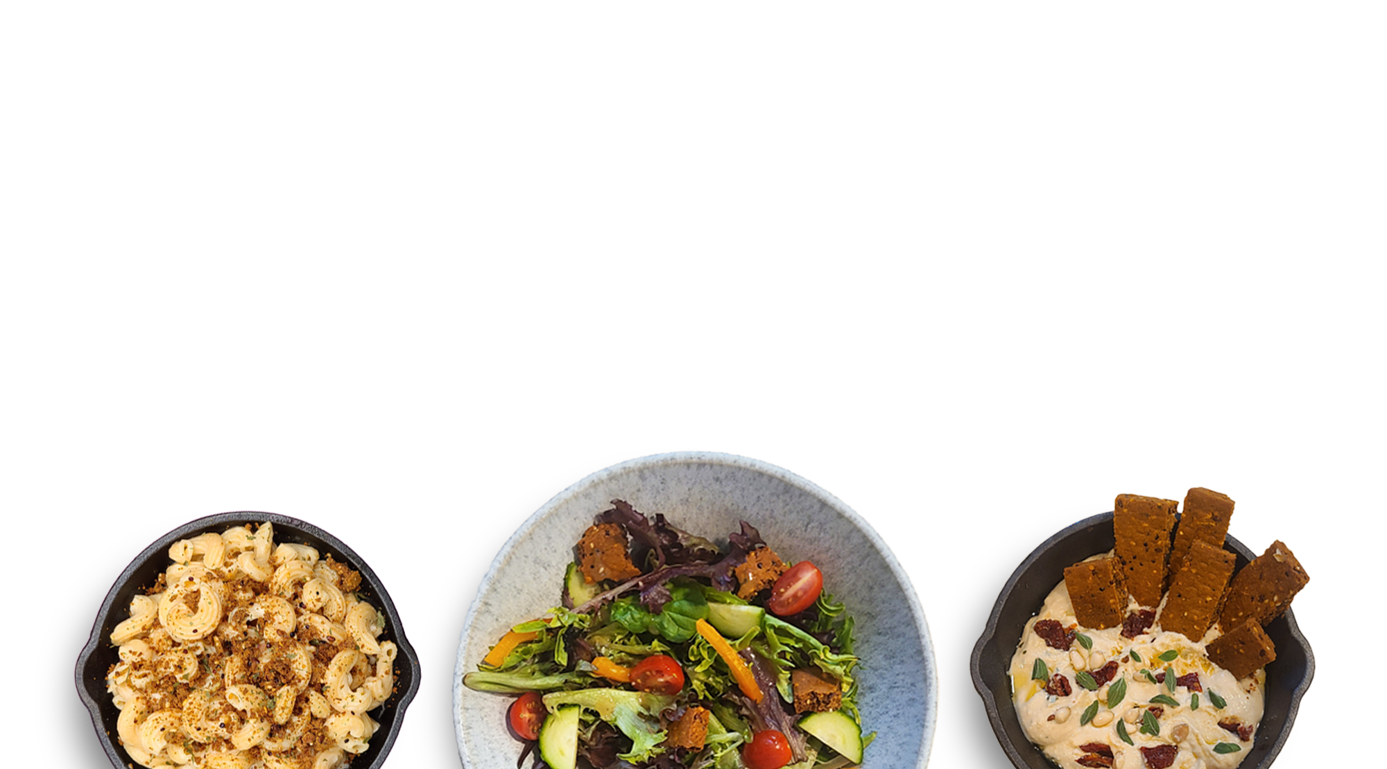 Super Team | savory 18g plant protein bars